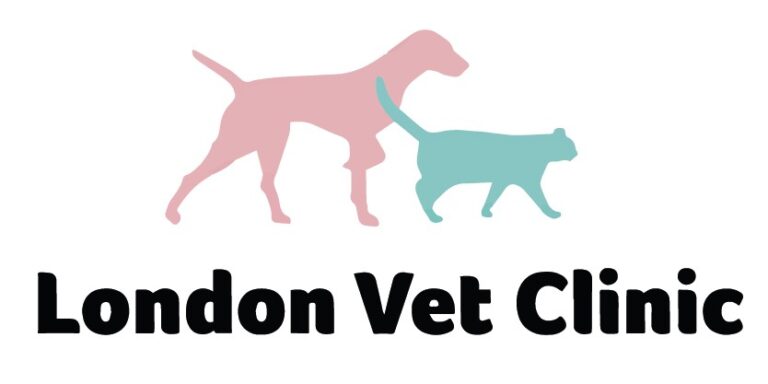 Our Forms - London Vet Clinic